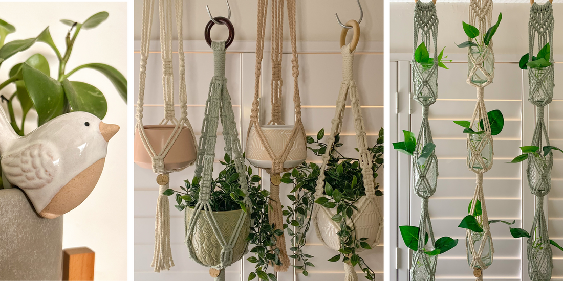 Cord & Clove Macrame